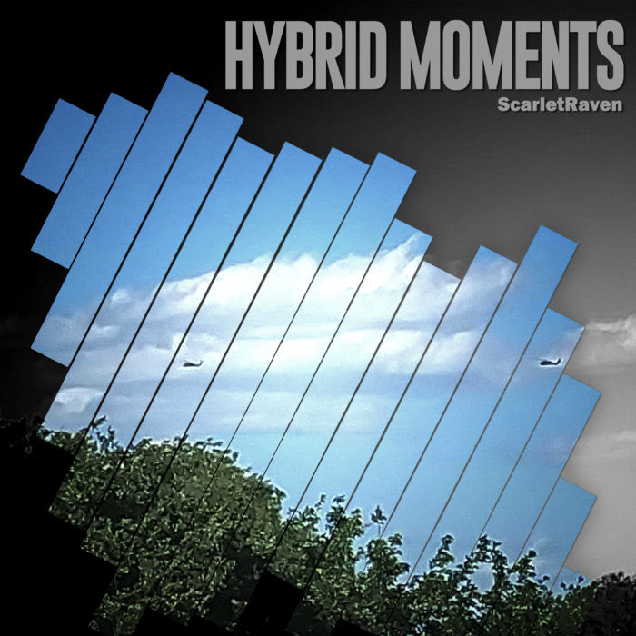 Hybrid Moments | ScarletRaven