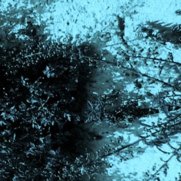 sound portraits | branestormer