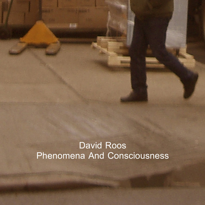 Phenomena And Consciousness | David Roos