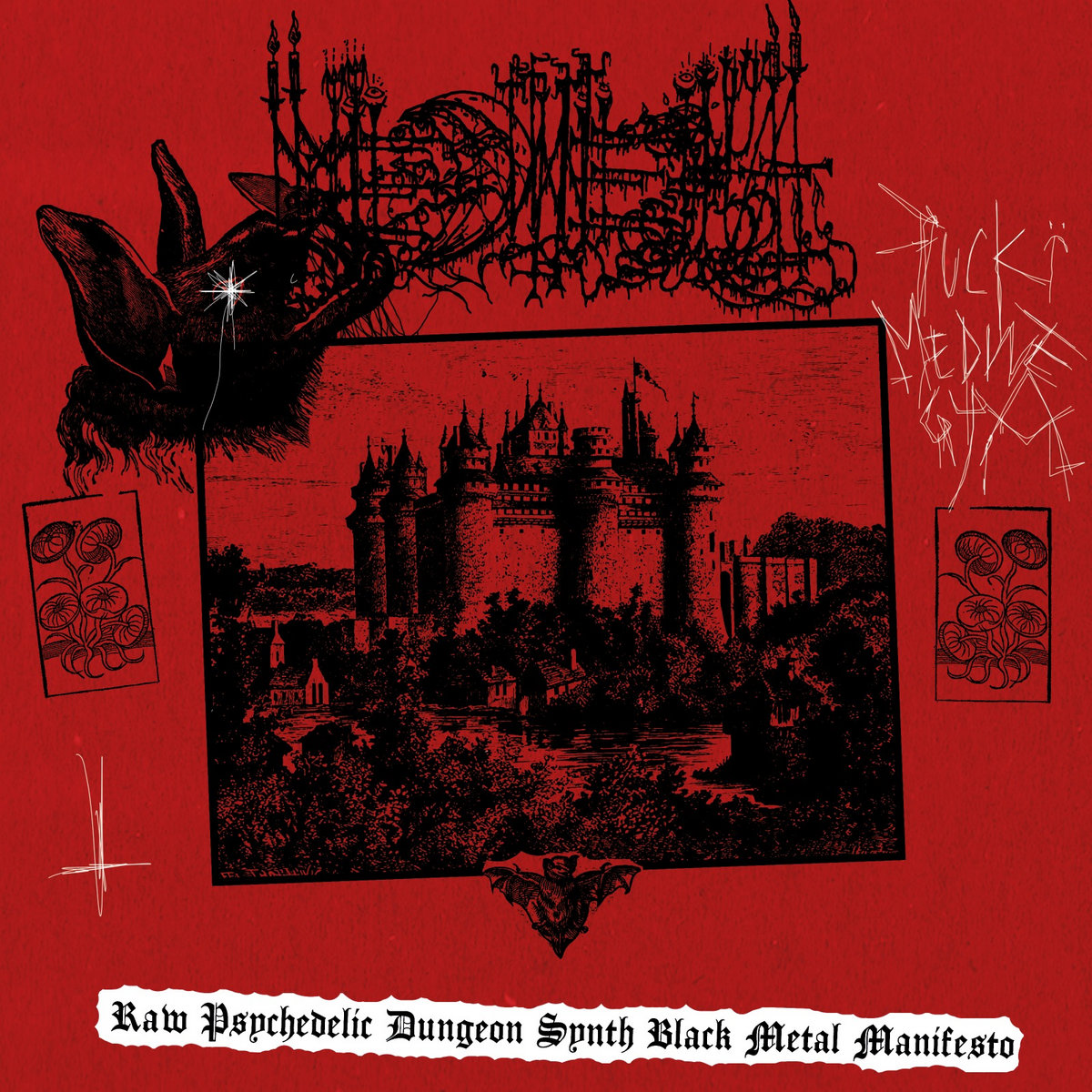 Raw Psychedelic Dungeon Synth Black Metal Manifesto | Medwegya