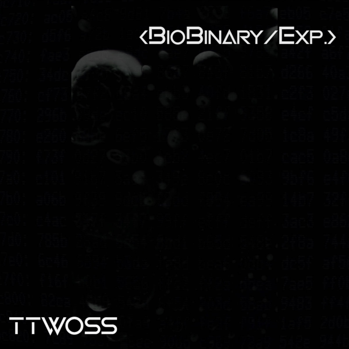 BioBinary_Exp | Thanato Twist With Oleg's Sound System | eg0cide productions