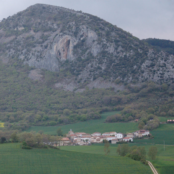 022: 253 libras (115 kg) | Cumania