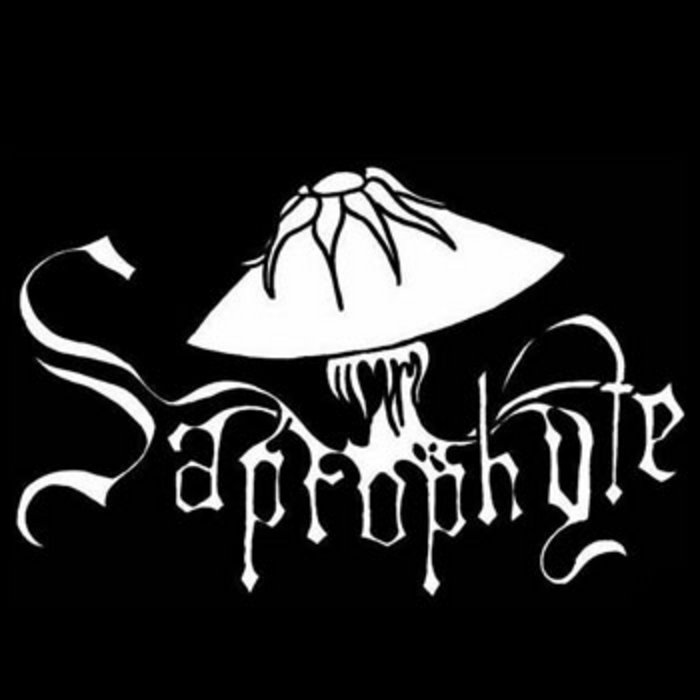 Demo | Saprophyte