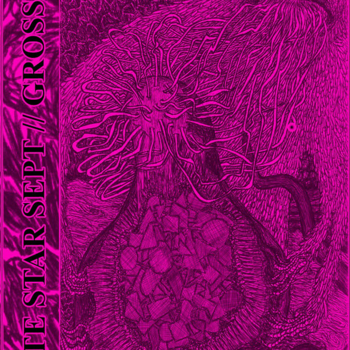 Split w/GROSSEL | SETE STAR SEPT