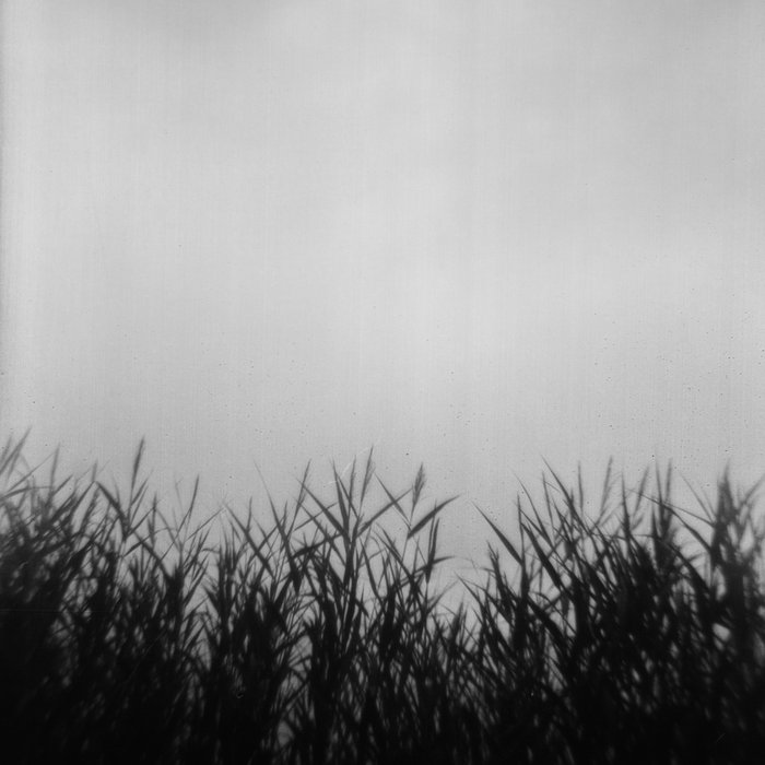 The Choir Invisible | Amy Kakoura