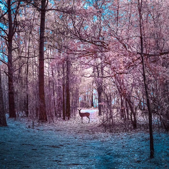 Modern Nature | FAKTOR4