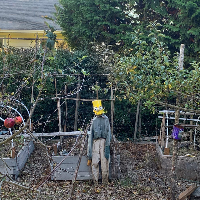 FORREST GUMP (Frank Ocean) | Kid Monday