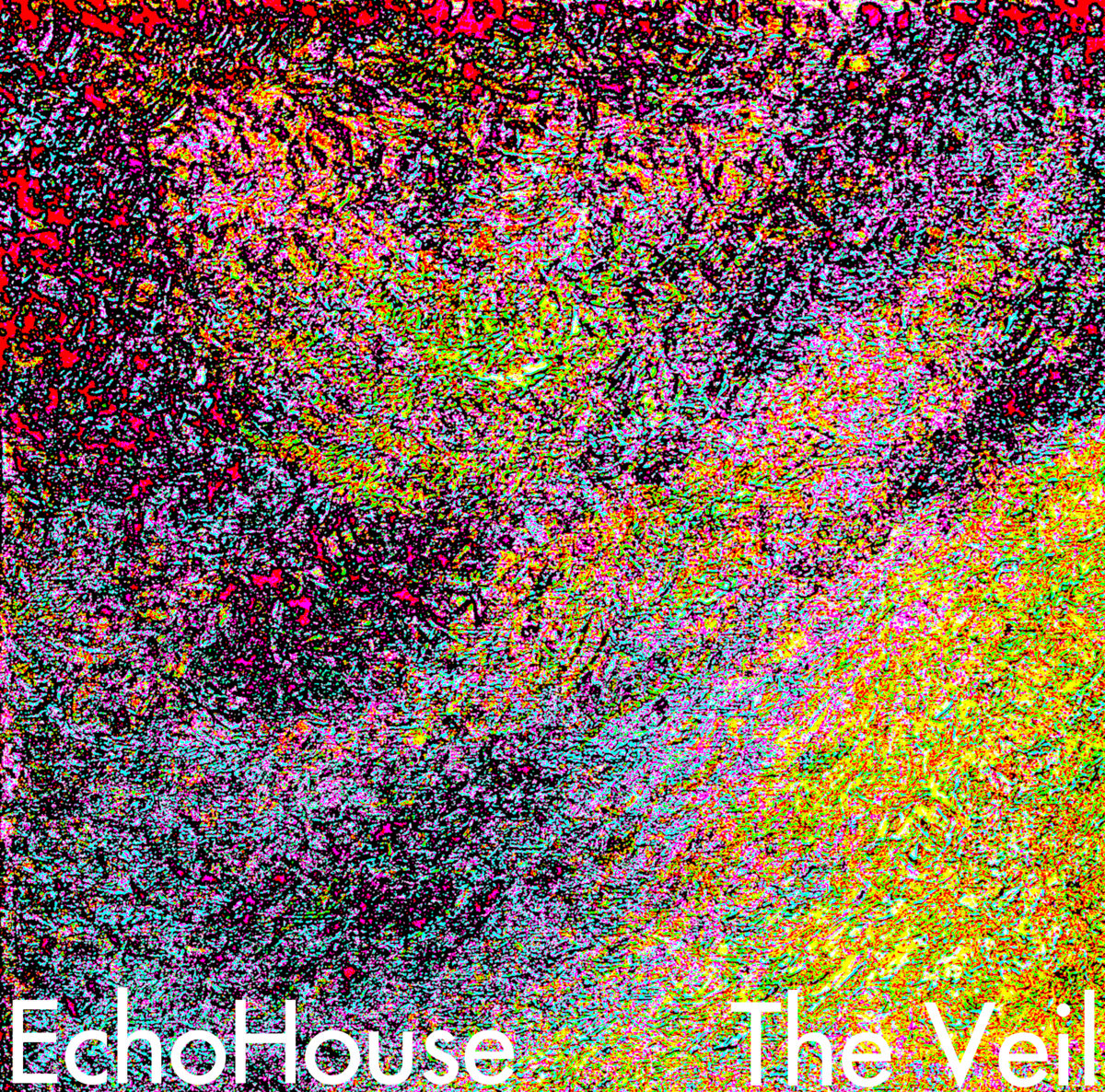 The Veil | EchoHouse