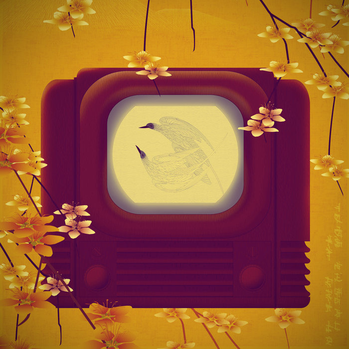 Citizen Island | David Glenn Smith