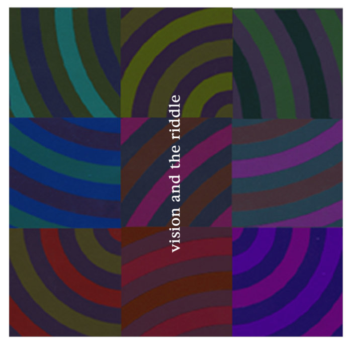 vision and the riddle - album | vision & the riddle