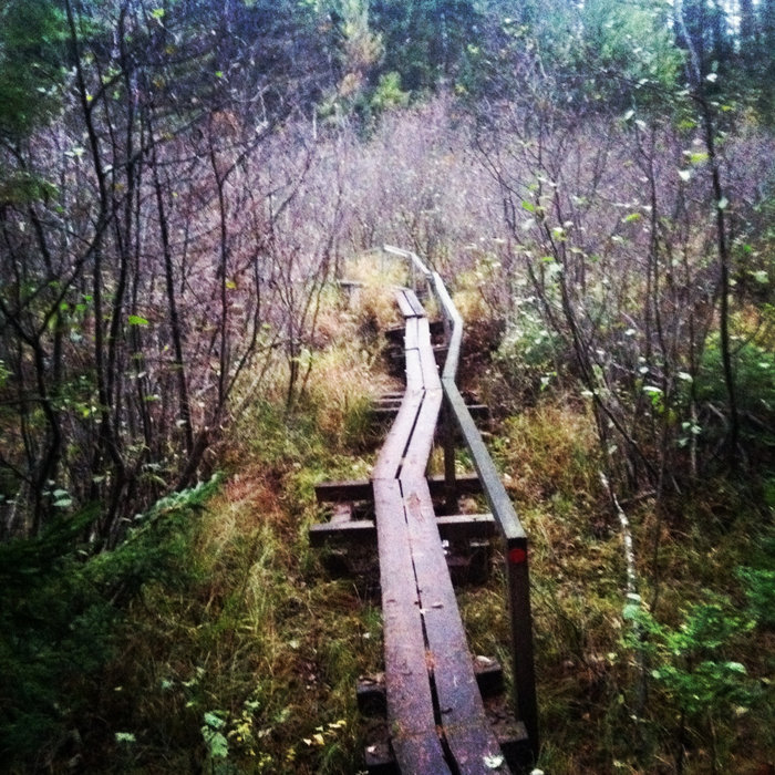 Every Night | Anarene