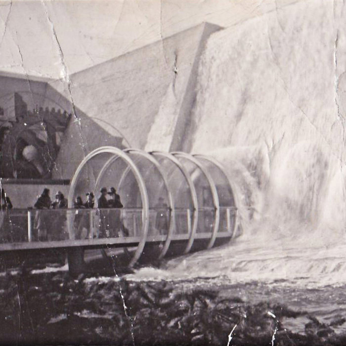 In The Loop | Blunt Corner