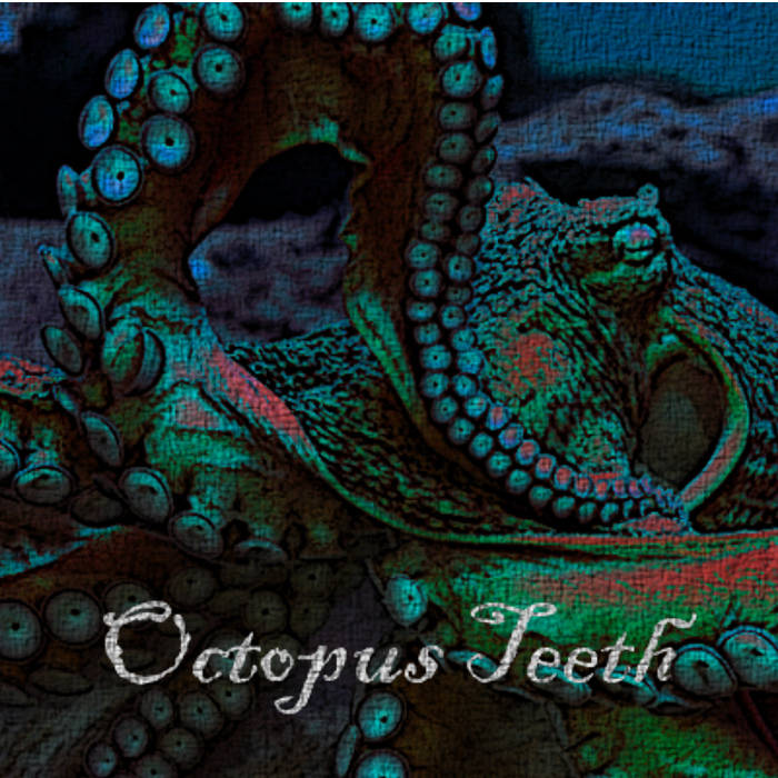 Octopus Teeth KUOW Why's The Octopus Awake? Night At The Seattle