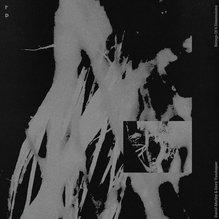 Beings Of 6 Dimensions | David Morley & Davy Vandegaer | Futurepast