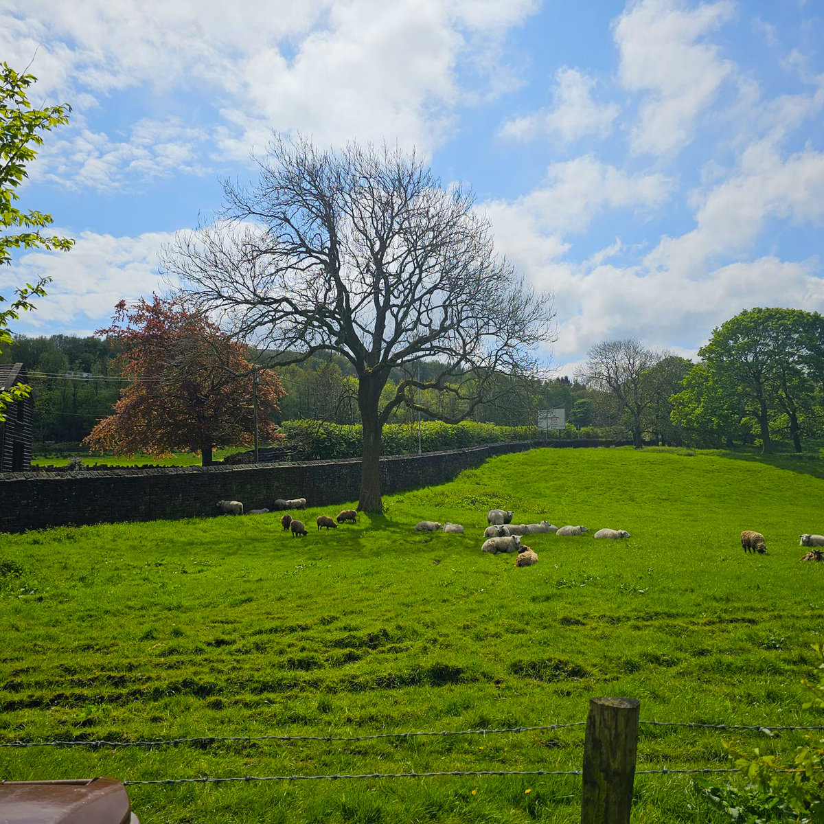 Memorial Garden In May | Chew Valley Tapes