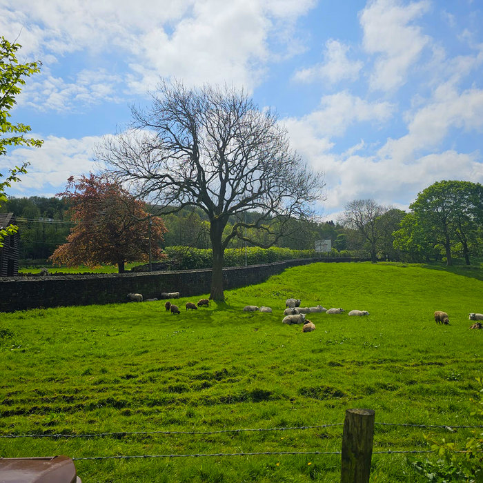 Memorial Garden In May | Chew Valley Tapes