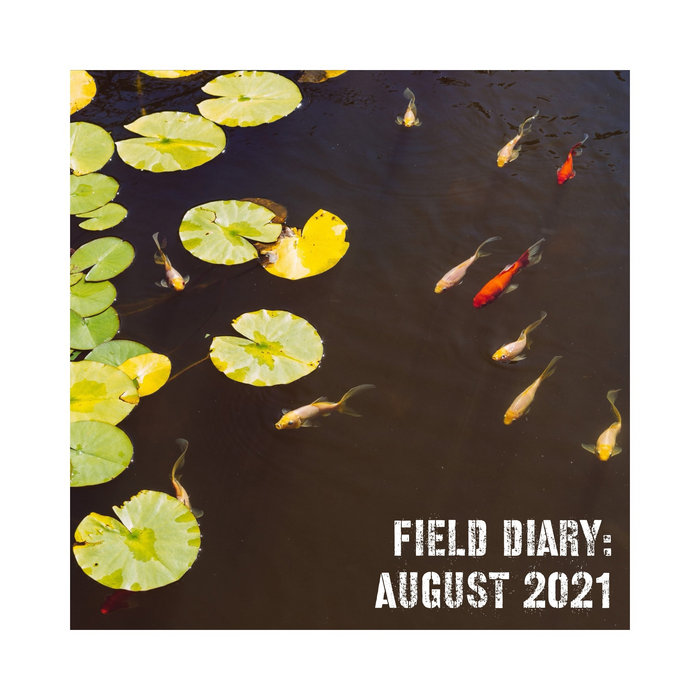 Field diary: August 2021 | various artists | brokentaperecords