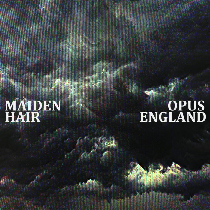 Opus England | Maiden Hair
