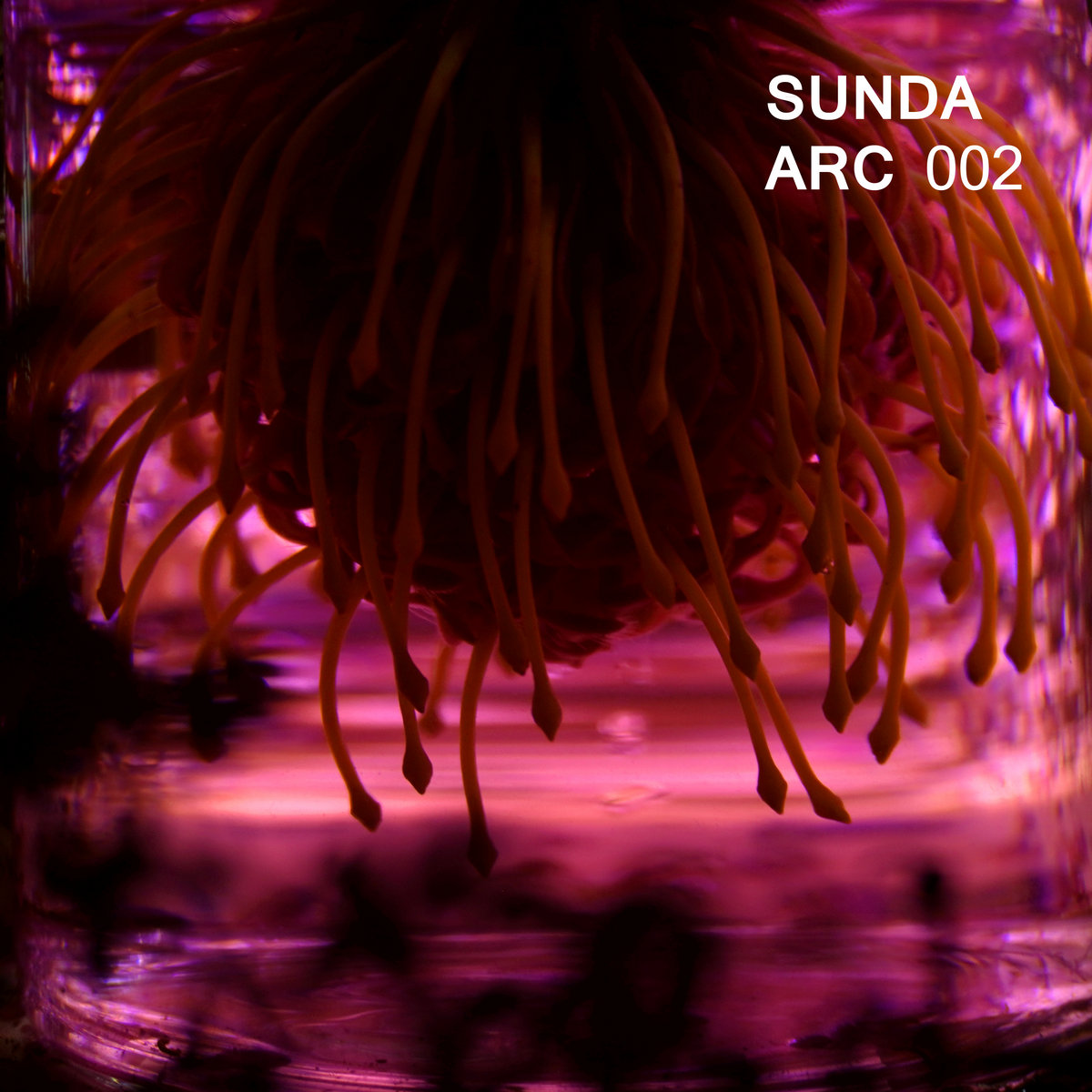 Sunda Arc 002 | Sunda Arc