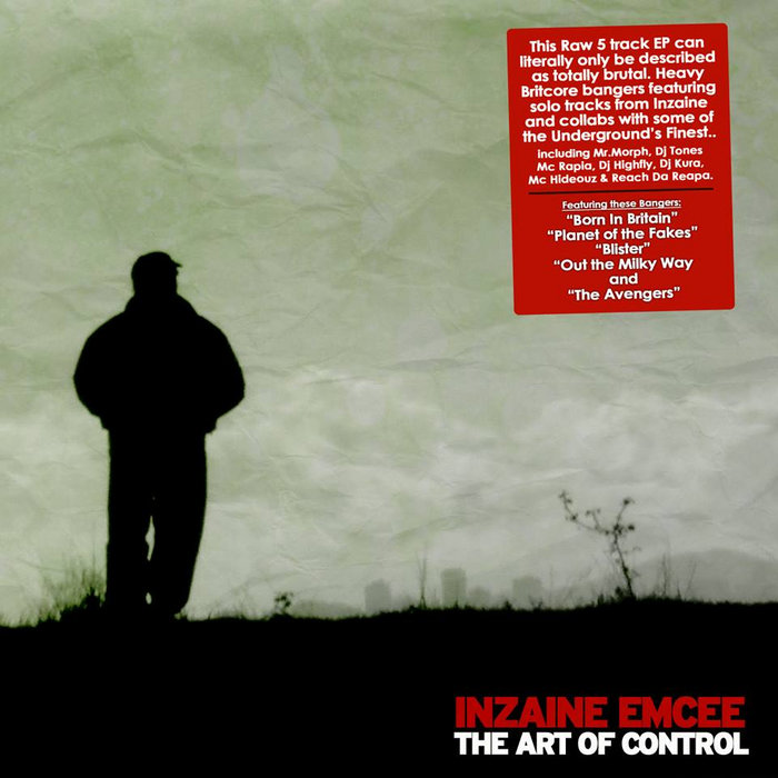 The Art Of Control | INZAINE