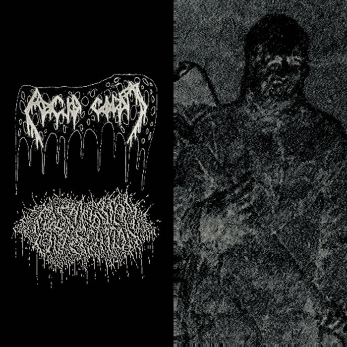 split | Acid Cunt/Postmortem Defecation | TUMORALPINE PRODUCTIONS