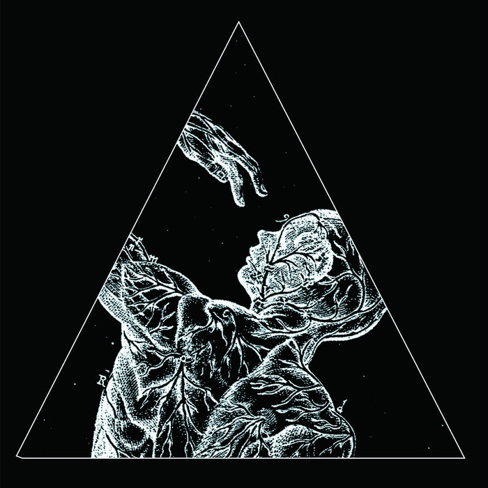 Purity | Private Pact | Mass Media Records