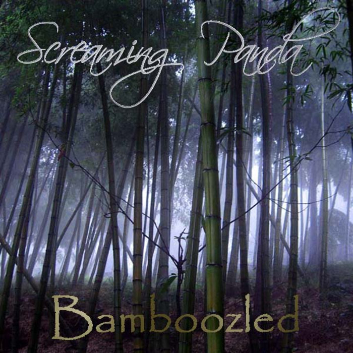 Bamboozled | Screaming Panda