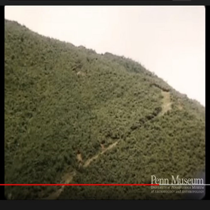 217 | a band called hills