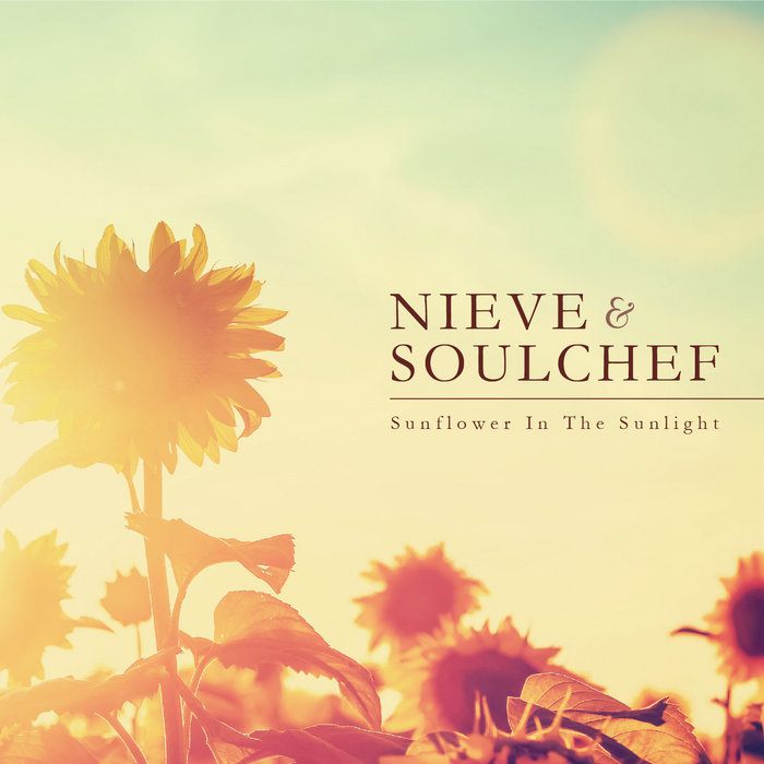 Write This Down | Nieve and SoulChef
