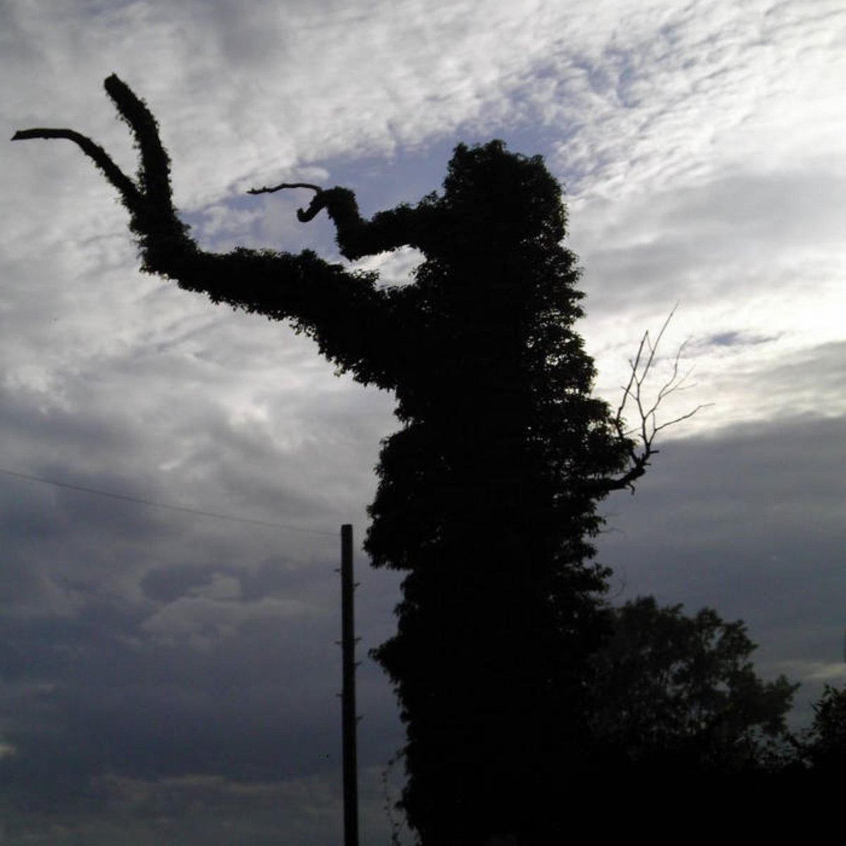 The Tree That Wished to Dance (2021) | Peter Beasley