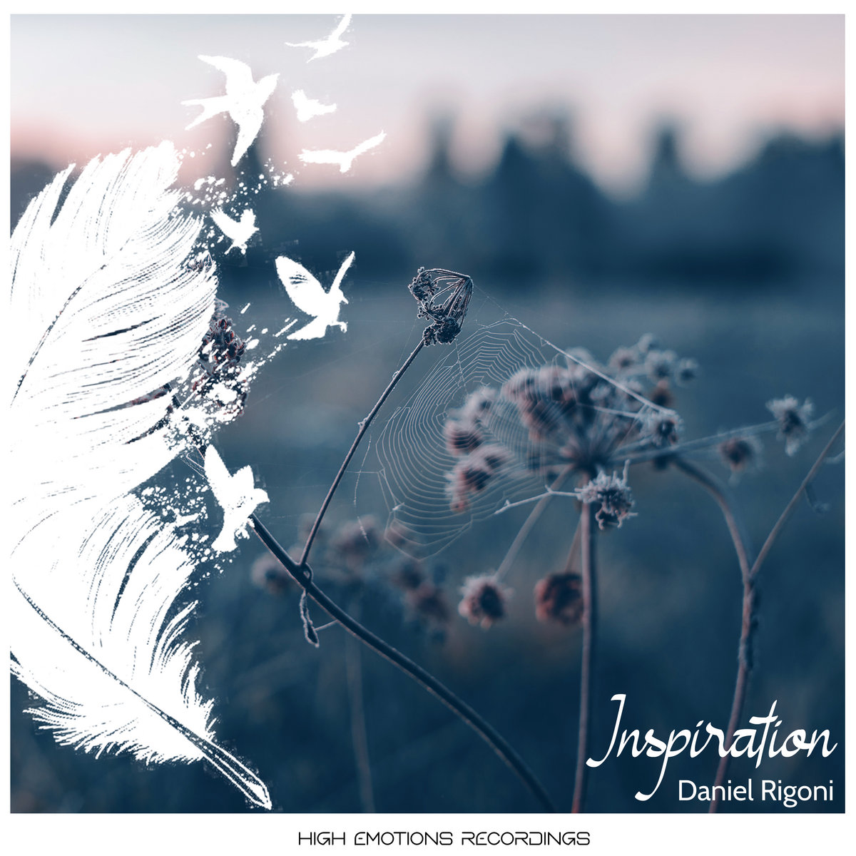 Daniel Rigoni - Inspiration | SounEmot Labels