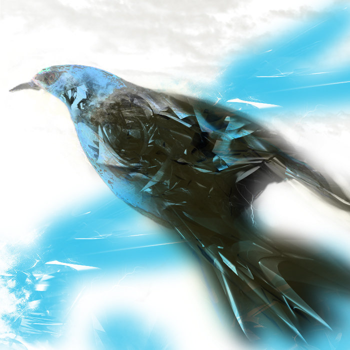 cyberbird | akito misaki × sugarB | Akito Misaki