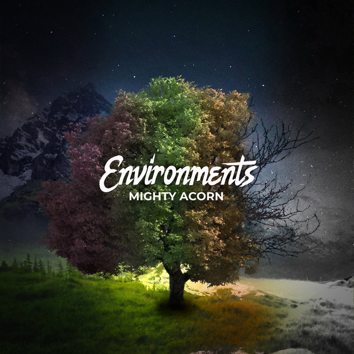 Environments | Mighty Acorn
