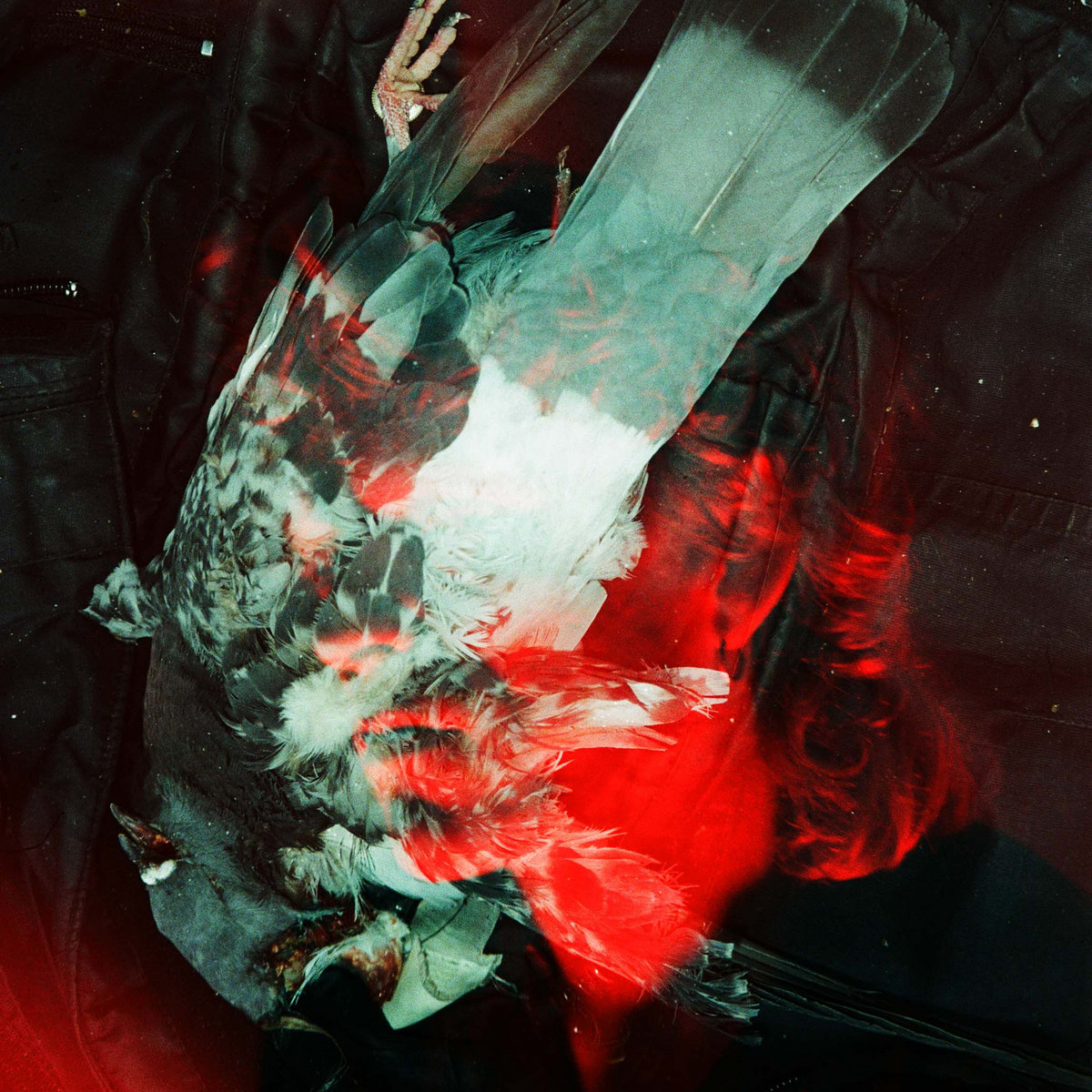 Lawrence Goodwin - Soft Eternity | Lawrence Goodwin | Rhizomorph Records