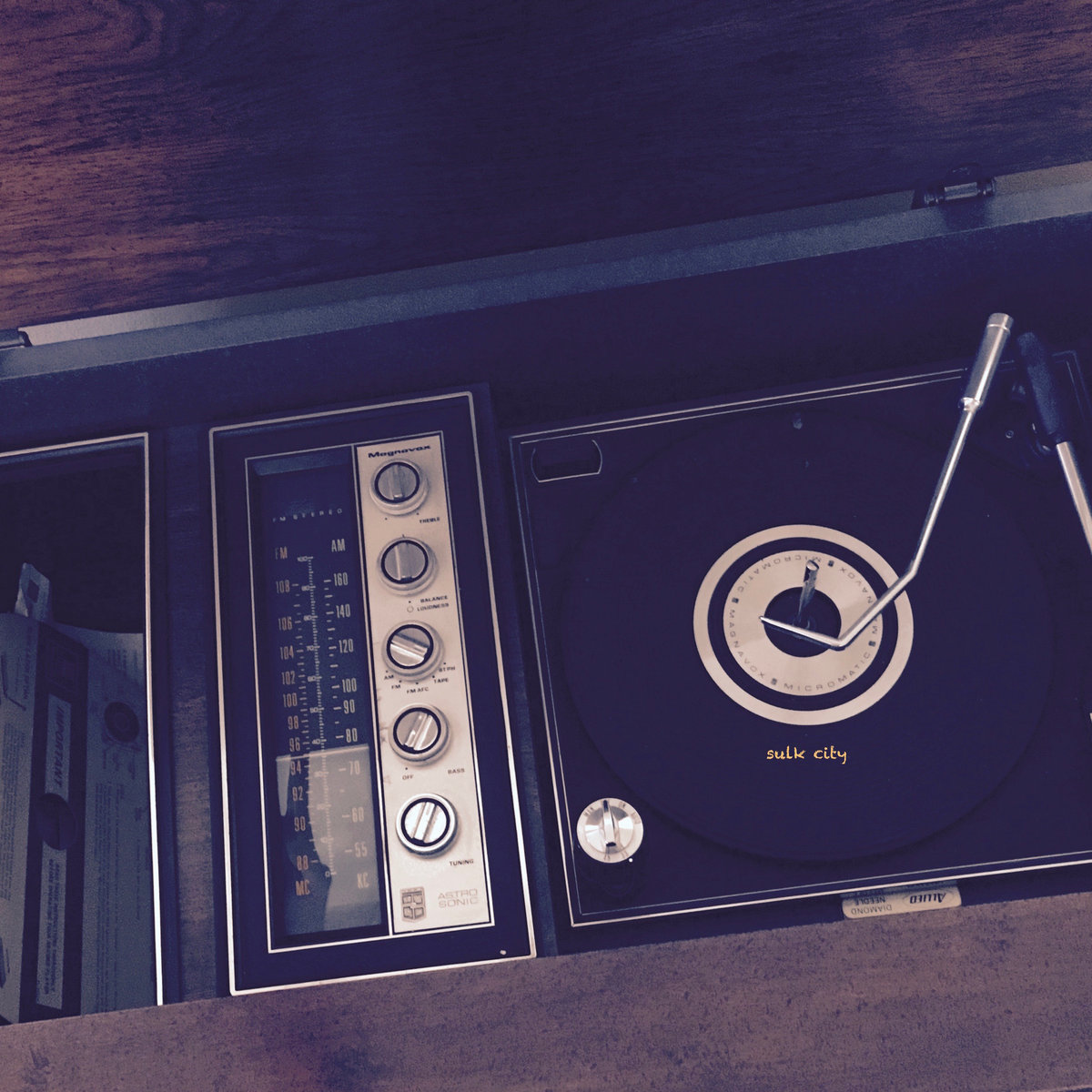 Analogies | Sulk City