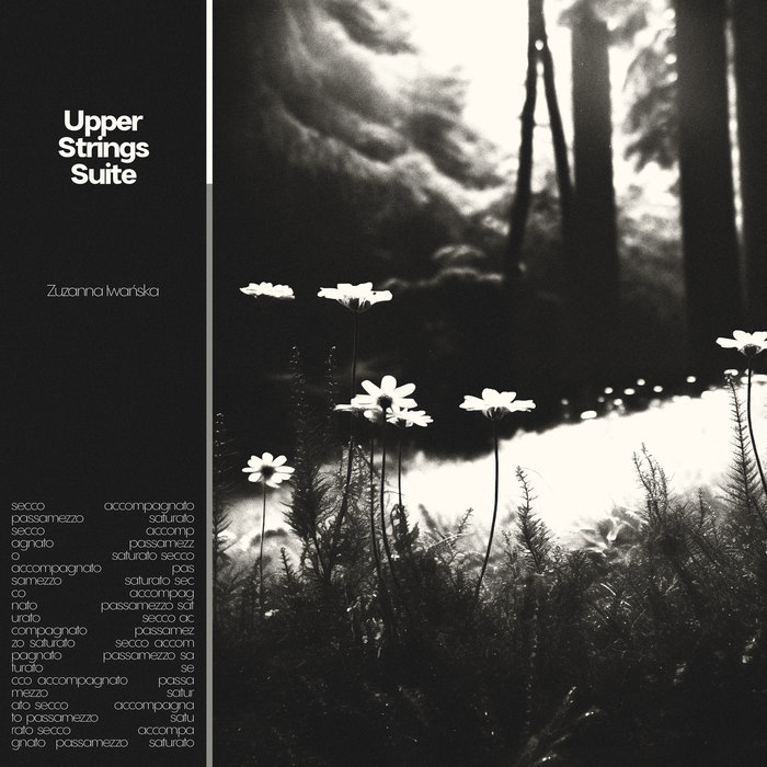 UPPER STRINGS SUITE | Zuzanna Iwańska
