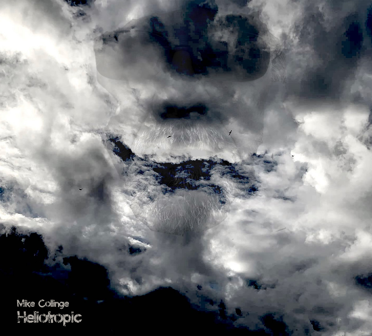 Heliotropic | Mike Collinge