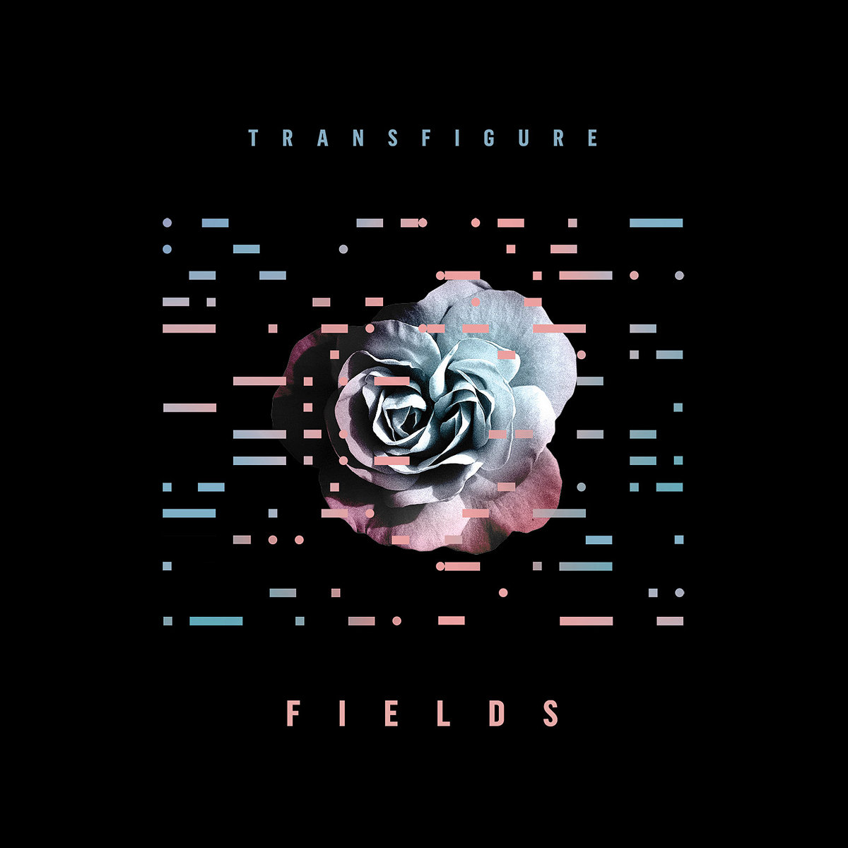 Fields | Transfigure