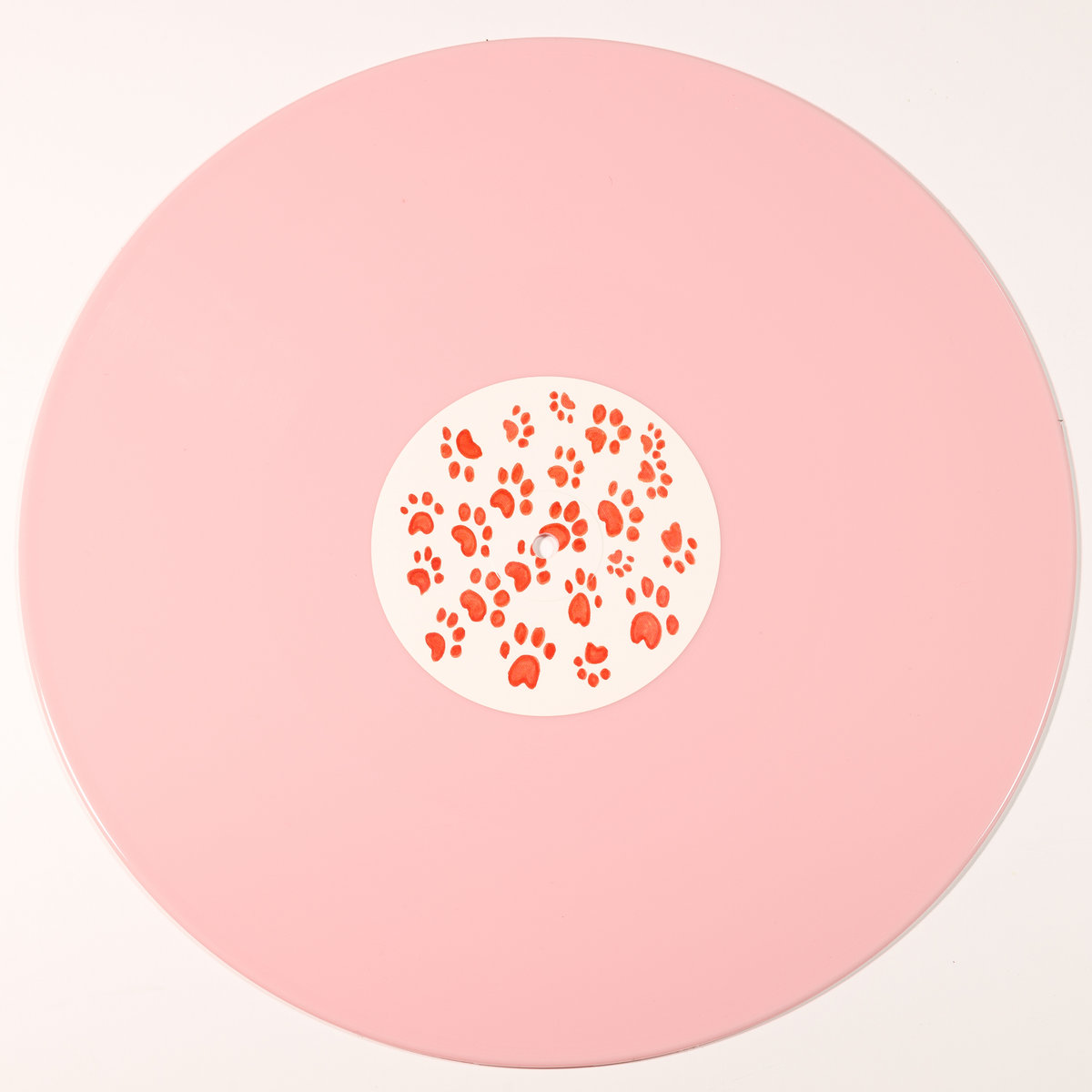 THE GROOVY CAT | PAWSA