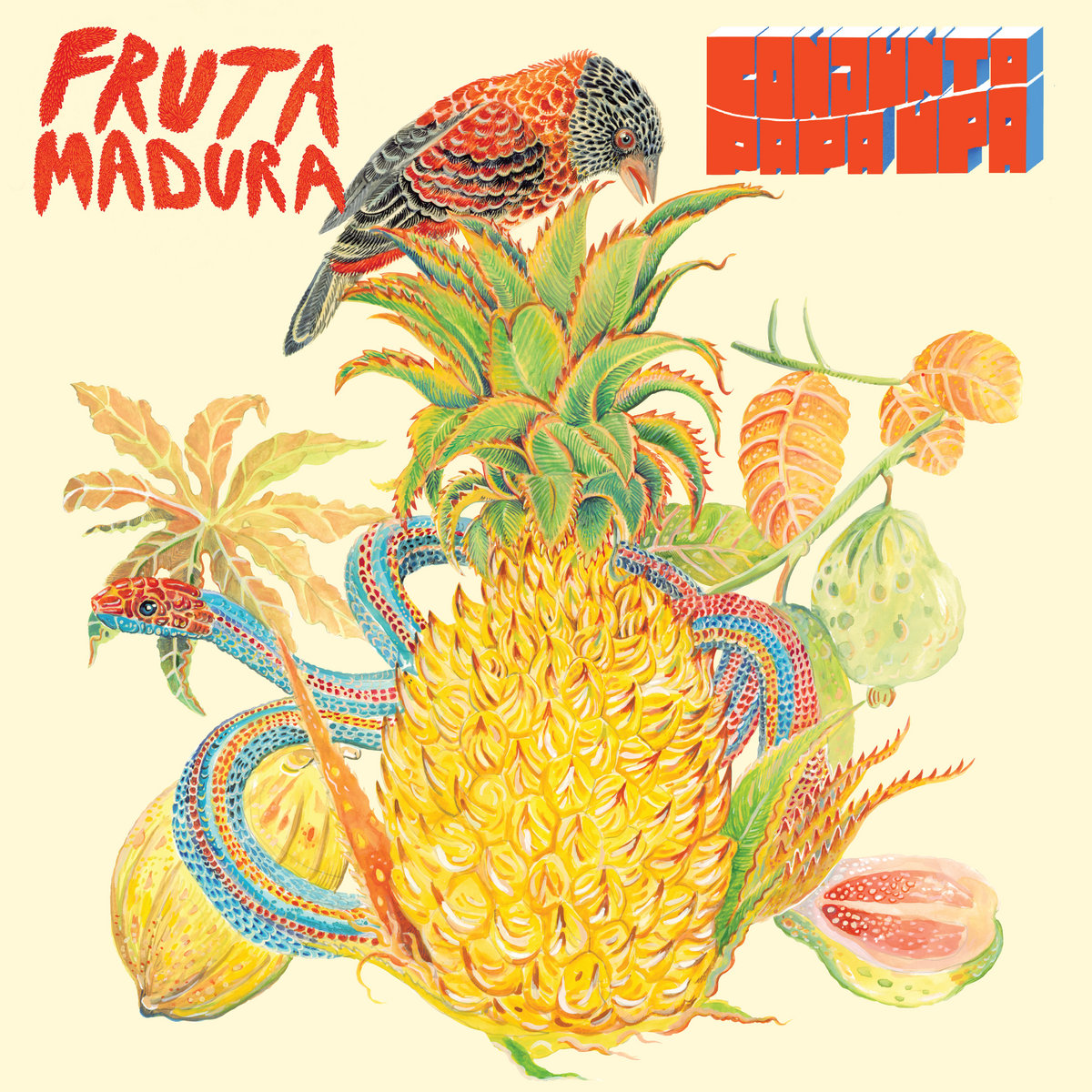 Fruta Madura | Conjunto Papa Upa | Music With Soul