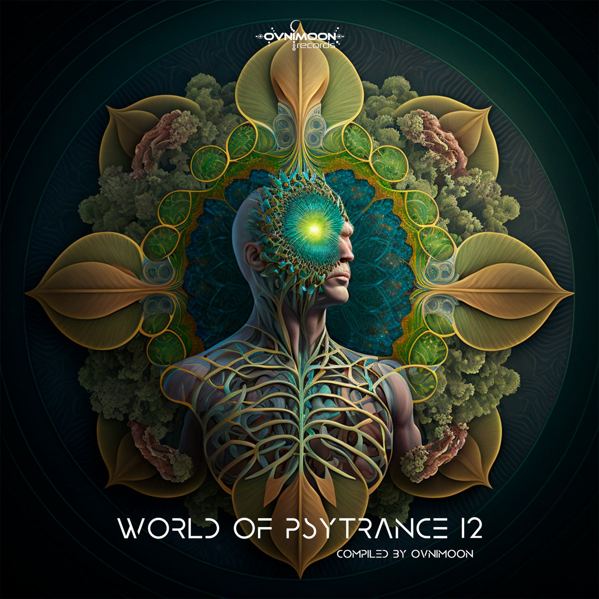 World Of Psytrance 12 (ovniLP972- Ovnimoon Records) | Ovnimoon Records