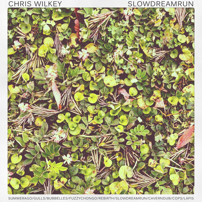 SlowDreamRun | Chris Wilkey