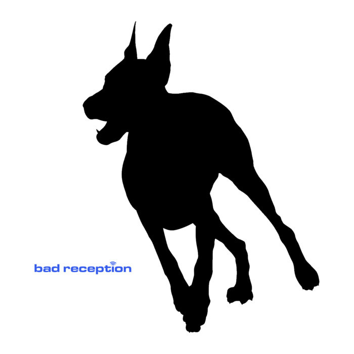 BAD RECEPTION | MYTH BOY