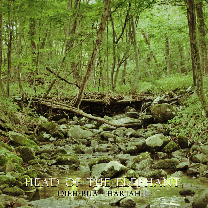 Diéh-Buà - Hariah I | Head of the Elephant | Guillermo de Llera