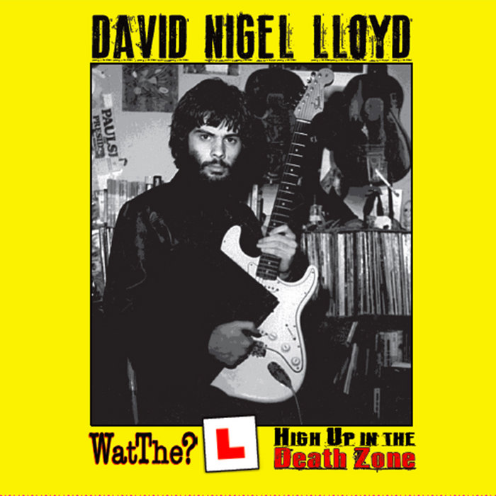 David Nigel Lloyd