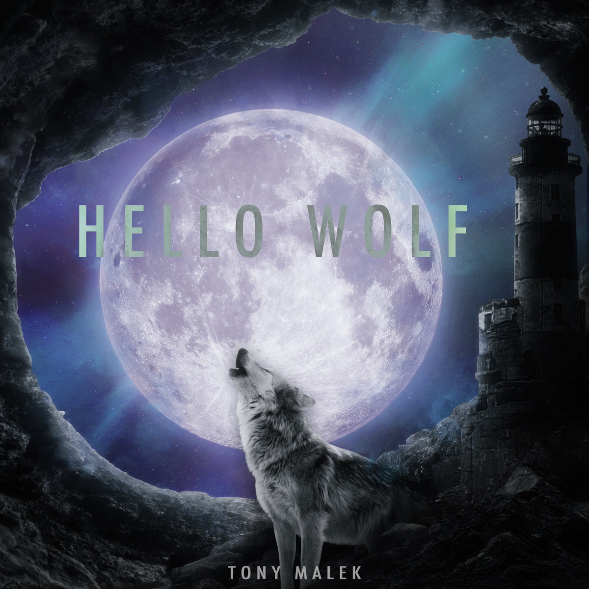 Hello Wolf | Tony Malek