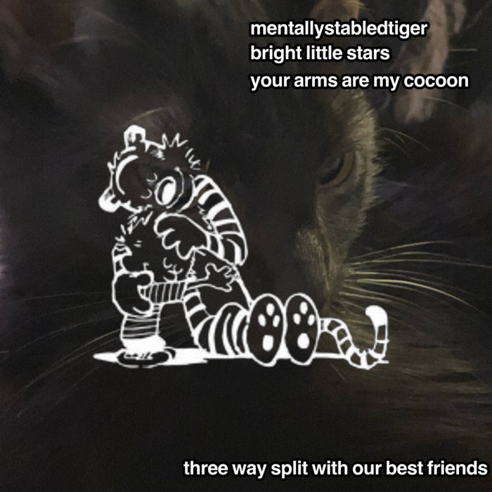 three way split with our best friends | mentallystabledtiger // bright ...