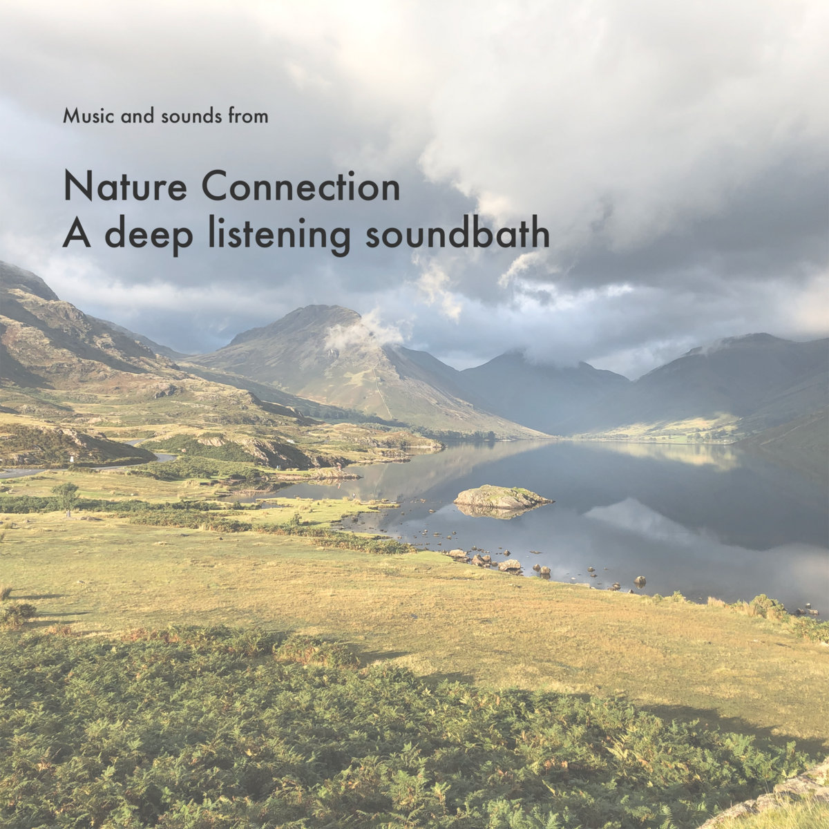 Music and Sounds From Nature Connection - A Deep Listening Soundbath ...