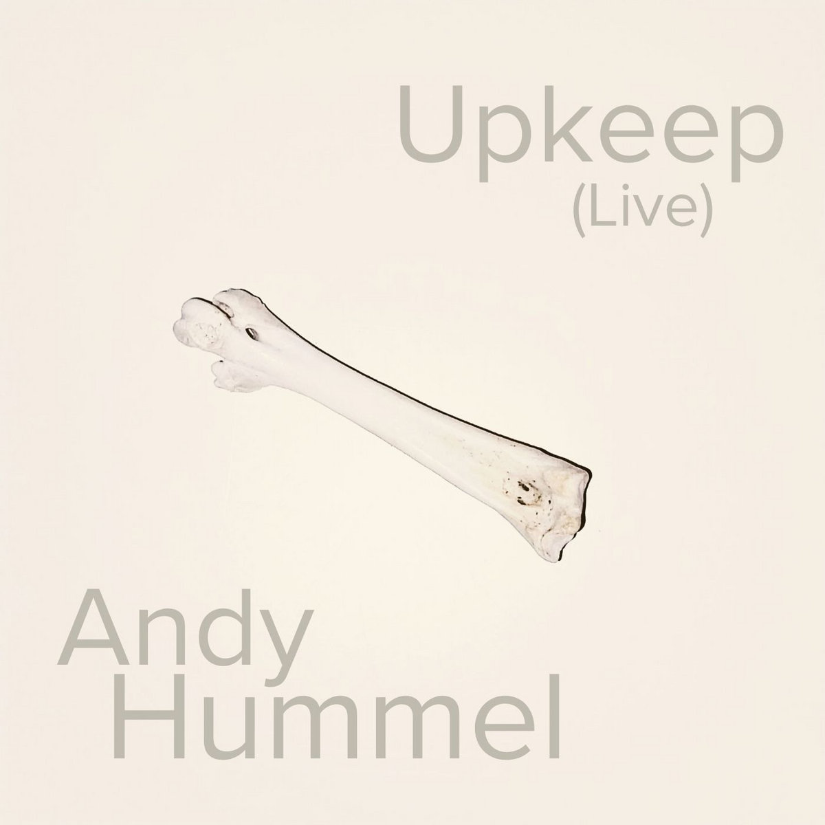 Upkeep (Live) | andy hummel