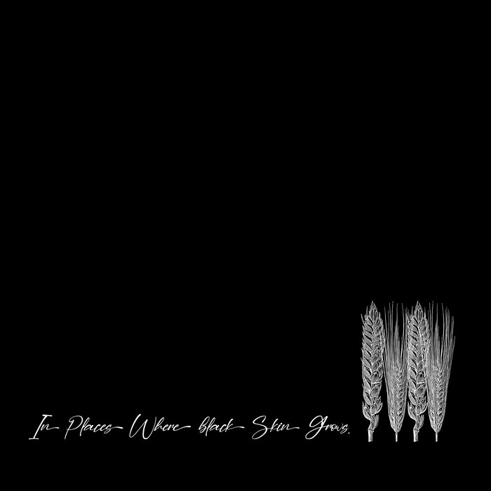 (The Renaissance Remains) Matt Mosley | Matthew Mosley